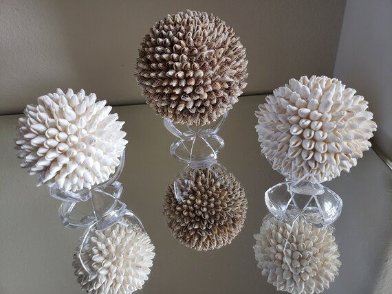 Sea Shell Ball Table Décor Shell Ball Beach Décor Sea | Etsy