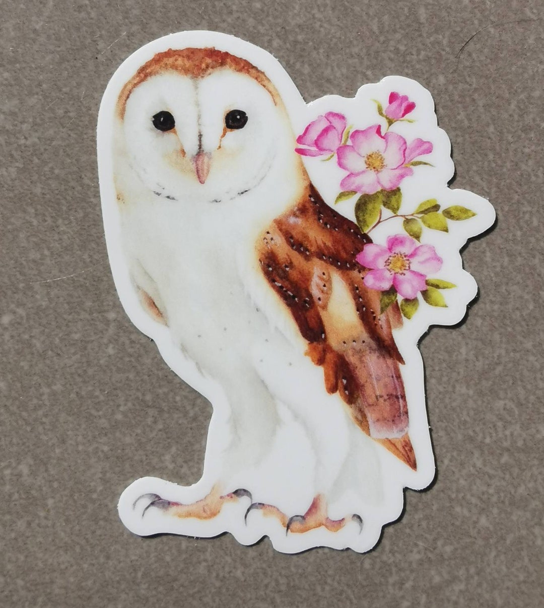 Barn Owl and Rose Vinyl Sticker Decal - Etsy