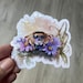 Orange & Black Jumping Spider Holographic Sticker, Kawaii Jumping ...