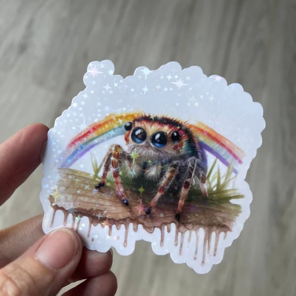 Rainbow Jumping Spider - Etsy