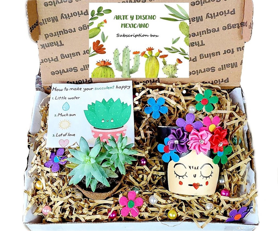Succulent Subscription Box. Monthly Subscription Box Each Month 2 ...