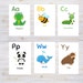Animal Alphabet Flash Cards • Educational • ABC Animal Activity Cards ...