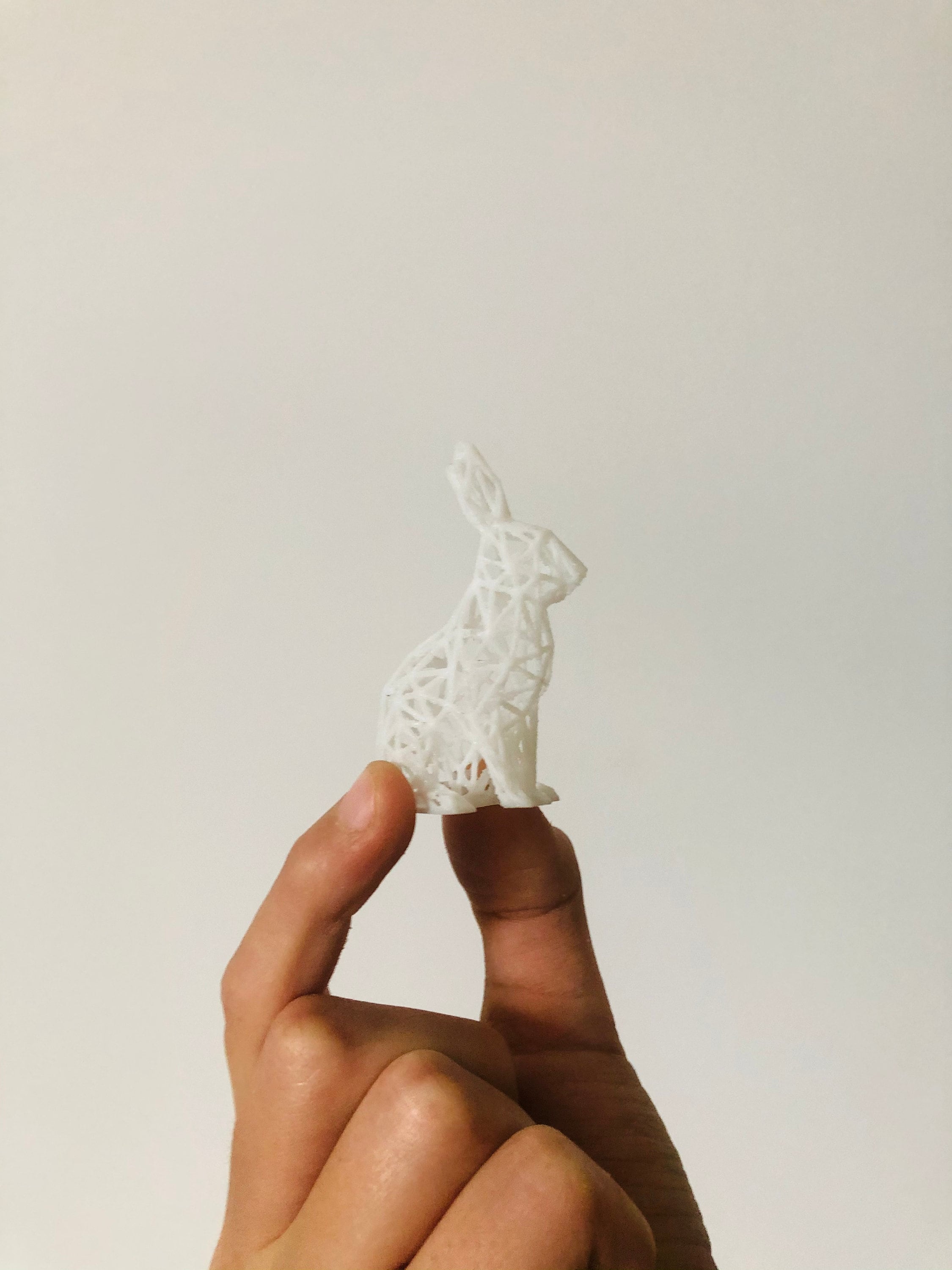 3D Printed Mini Wireframe Bunny Rabbit Easter Decoration Ornament - Etsy