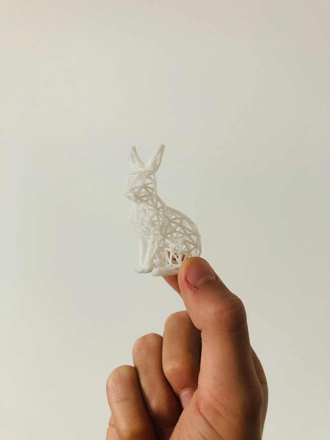 3D Printed Mini Wireframe Bunny Rabbit Easter Decoration Ornament - Etsy