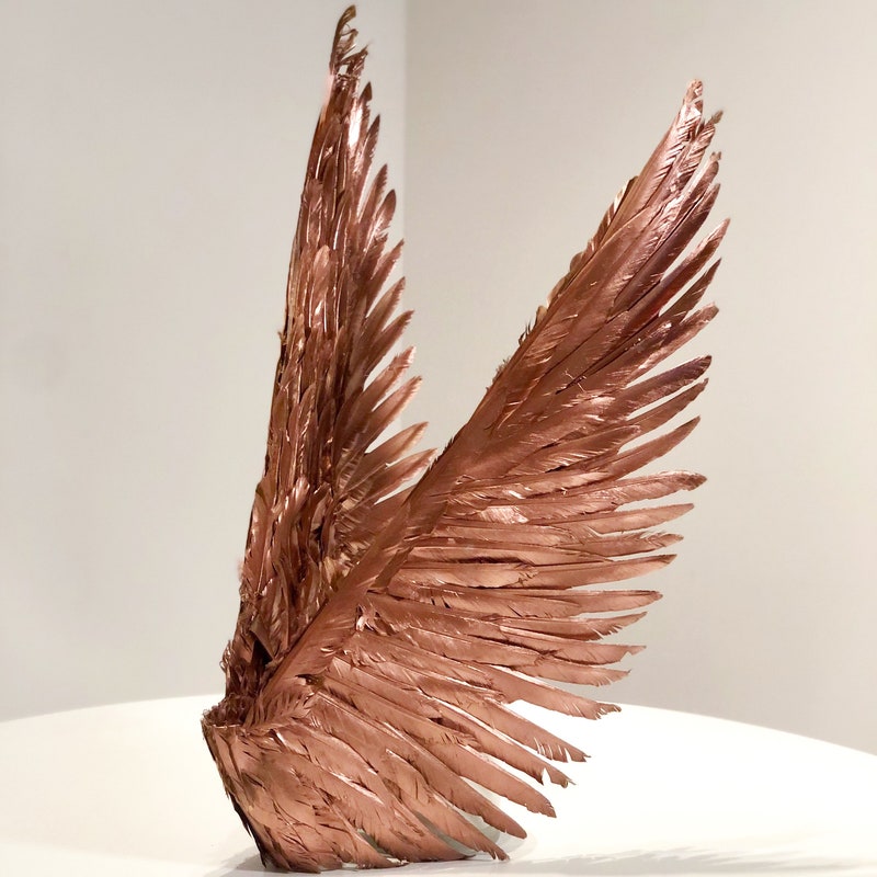 Saltburn Angel Wings - Etsy