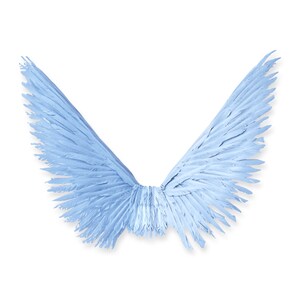 Sky Blue Angel Feather Wings - Etsy