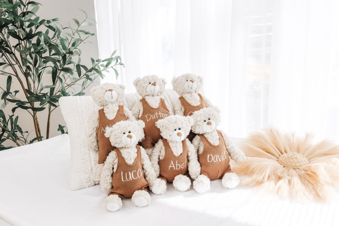 Personalized Plush Toy for Babies and Kids, A Cozy Cuddle Buddy and a ...