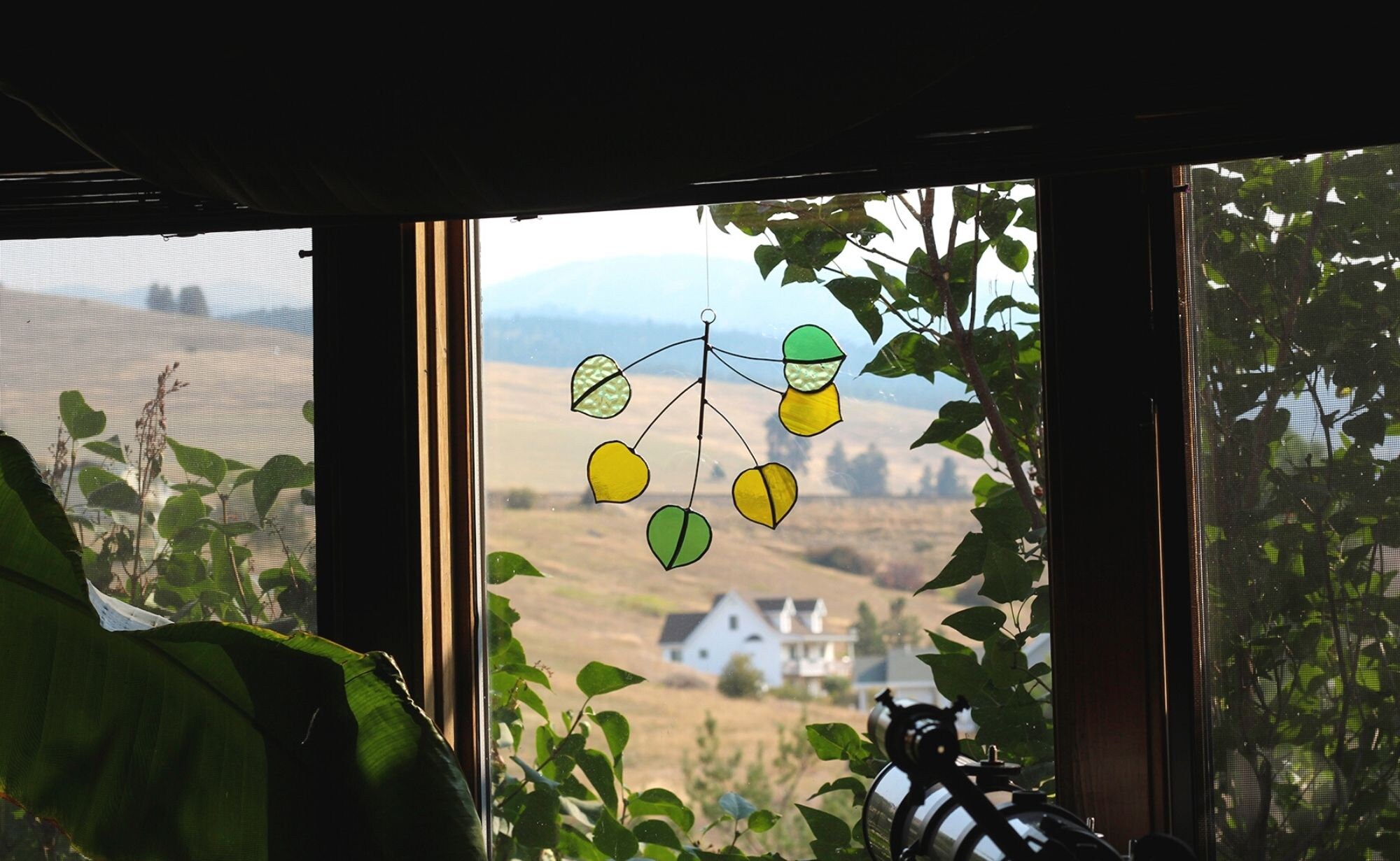 PATTERNS 4 Aspen Leaf Stained Glass Patterns Digital | Etsy