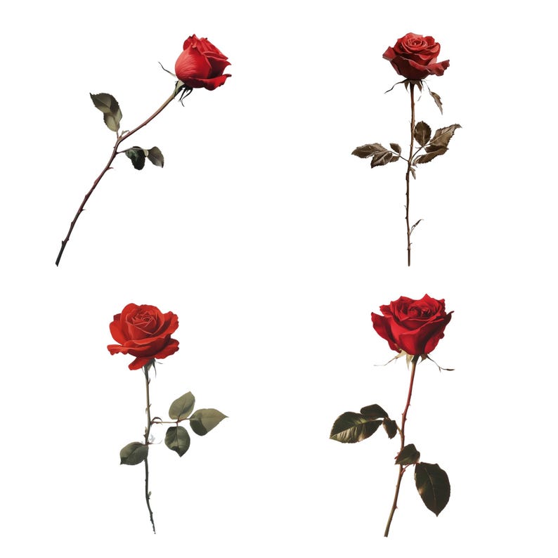 4 Vintage Red Roses Clipart Sublimation PNG | Valentines Roses Instant ...