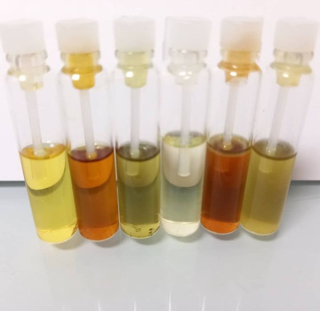 Botanical Olfactory Kit - Etsy