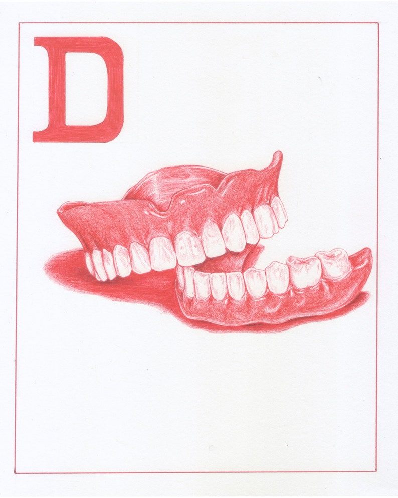 D is for Drawing of False Teeth - Etsy