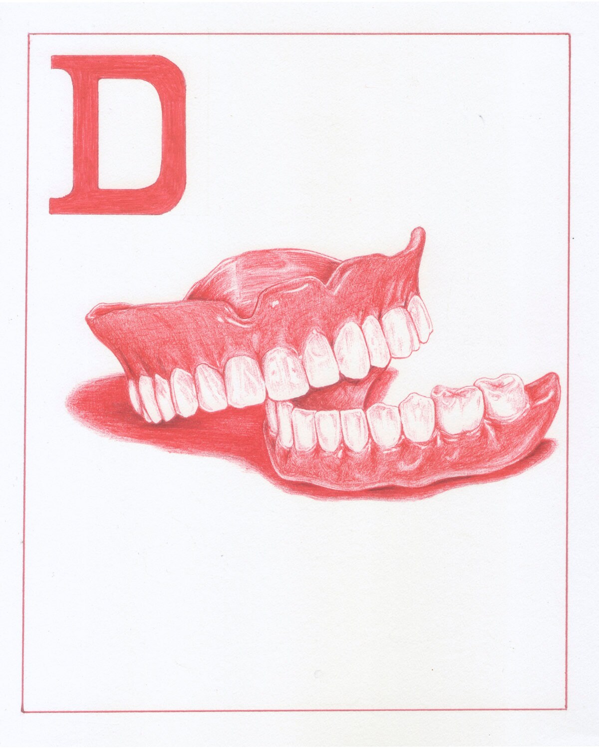 Dentures Drawing