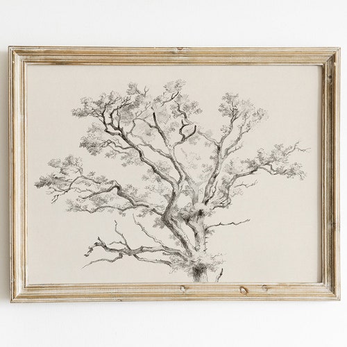Printable Square Tree Sketch Tree Drawing Art Print Vintage | Etsy