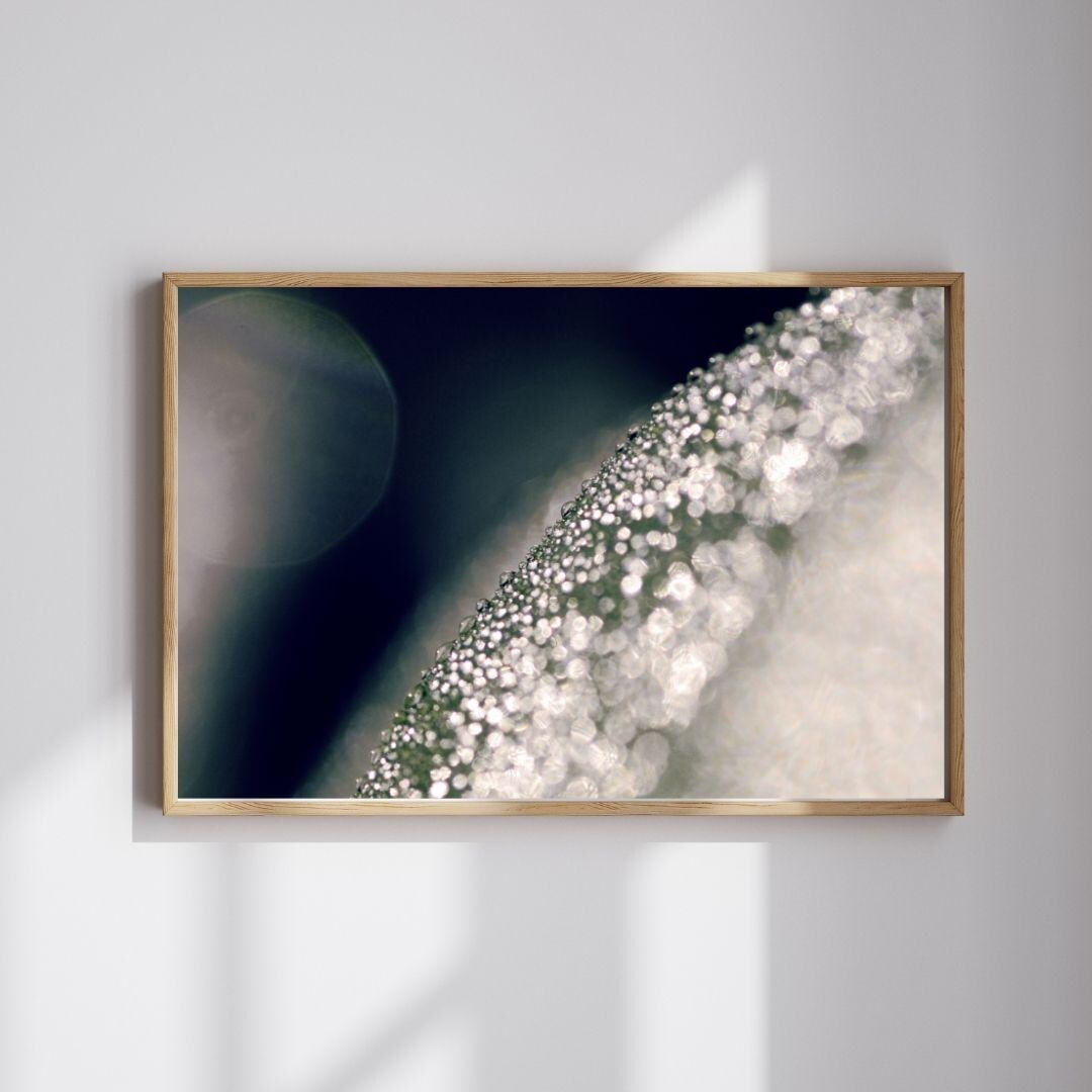Macro Nature Photography Poster - Abstract Wall Art – Modern Wall Decor ...