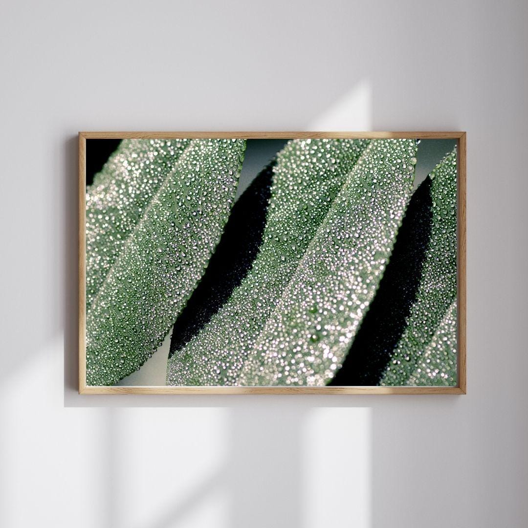 Macro Nature Photography Poster - Botanical Wall Art – Nature Decor ...
