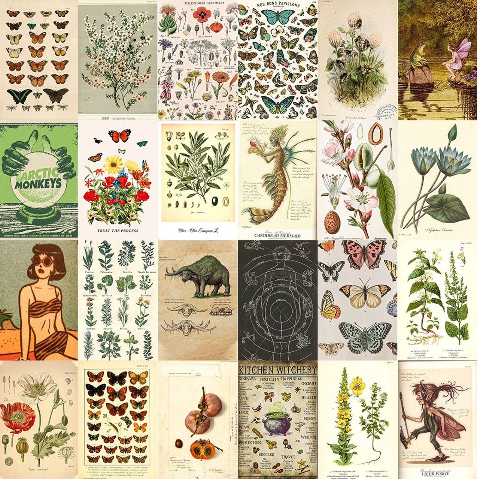 Botanical Vintage Poster Aesthetic Wall Collage Kit 112 Pcs Etsy Canada