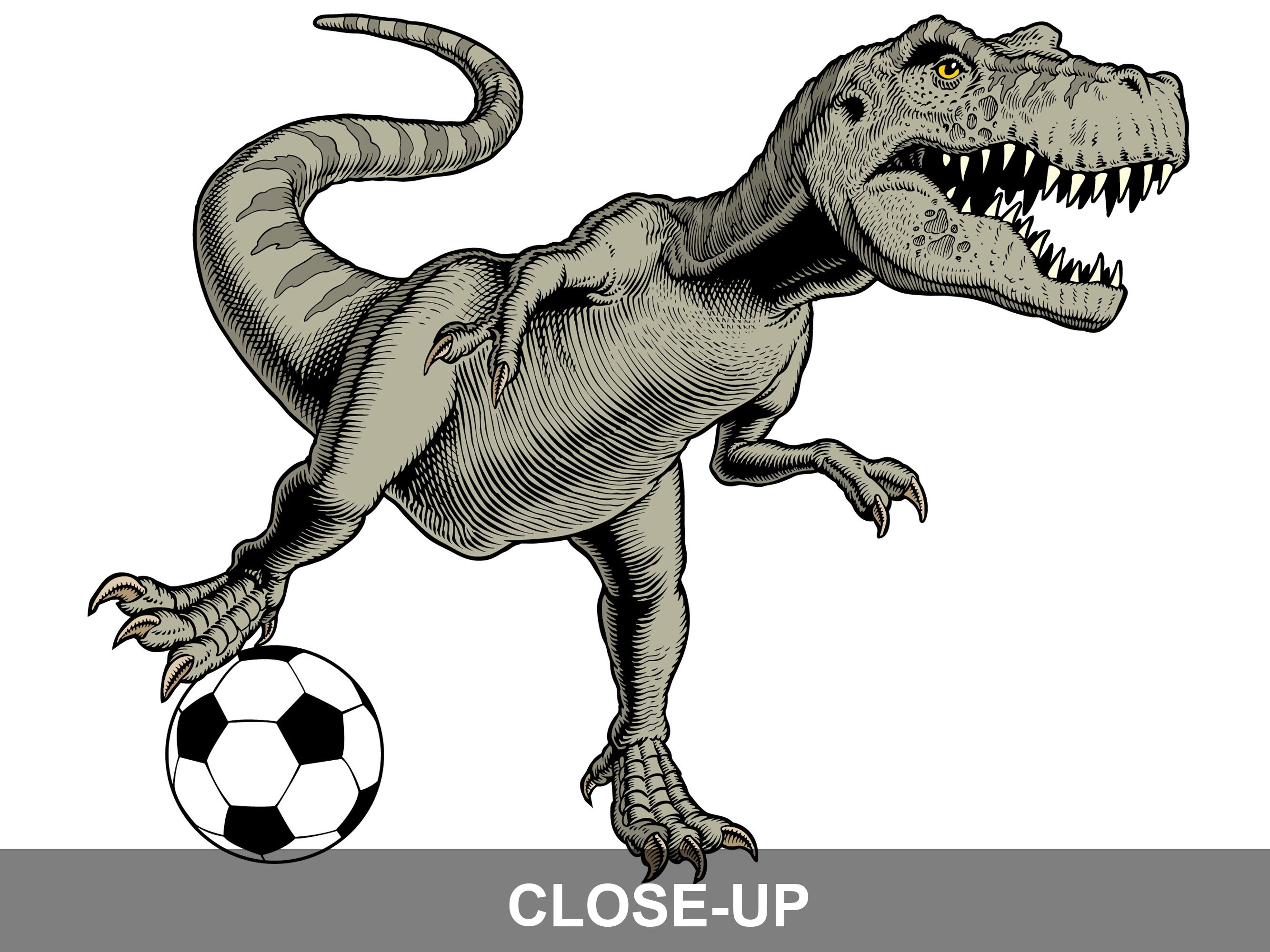 Sport Poster Dinosaur Kicking Football Print Dinosaur Gift - Etsy