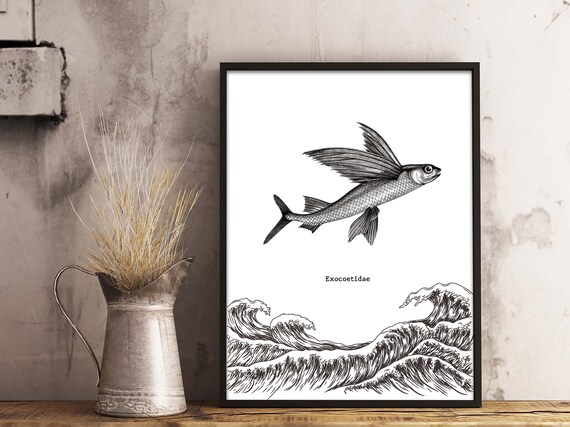Flying Fish Print Vintage Etching Style Fish Print Vintage - Etsy