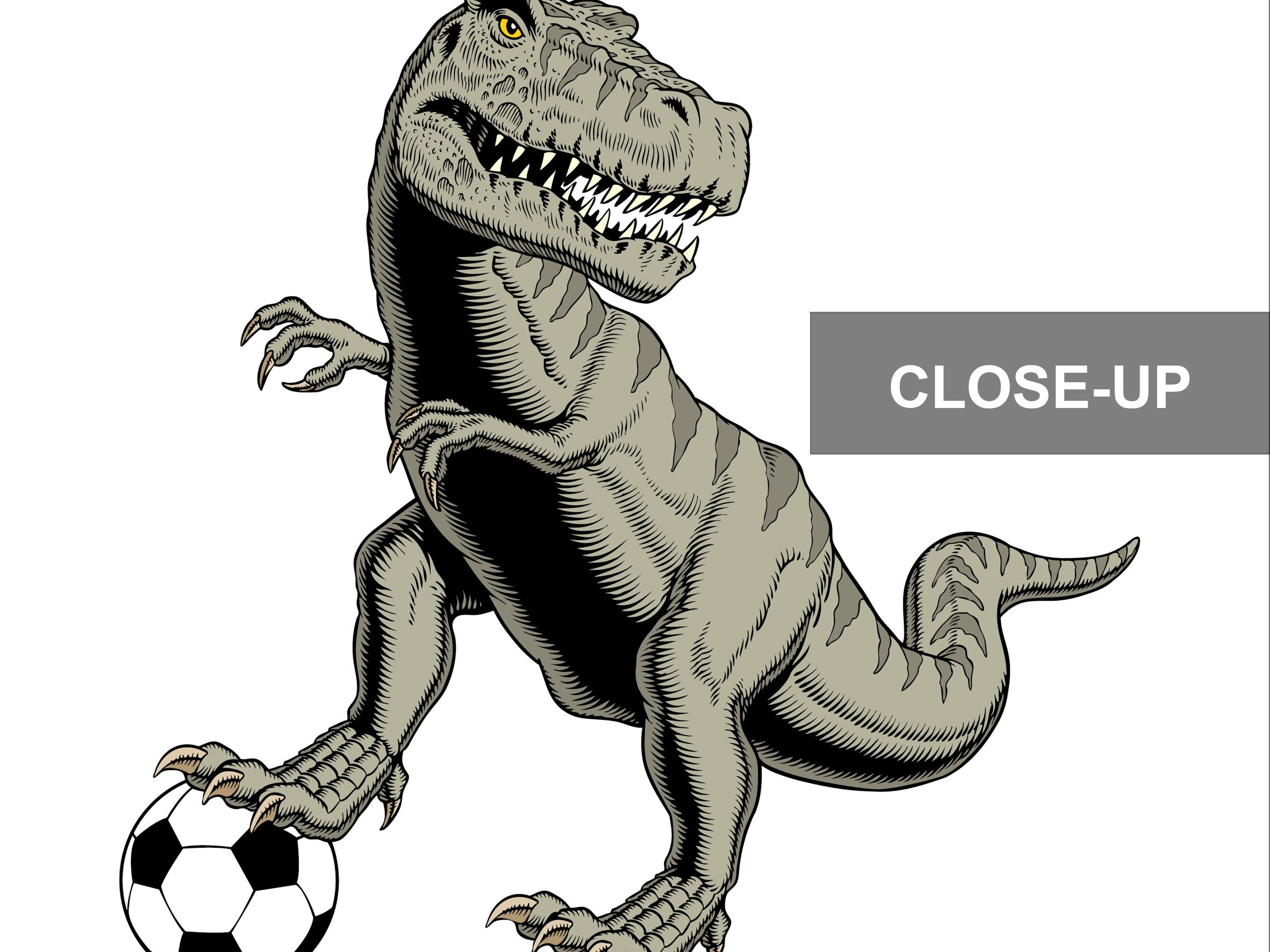 Soccer Print Dinosaur Playing Football Sport Poster Gift Custom ...