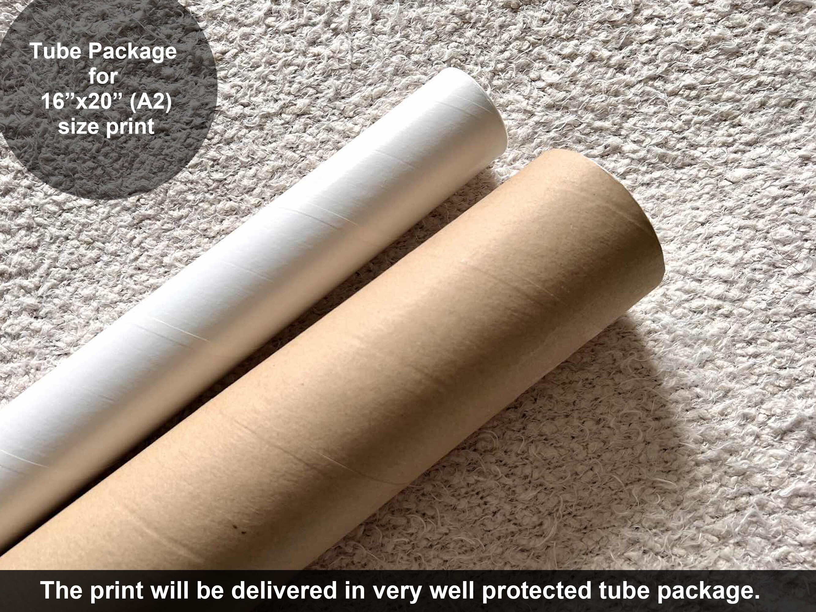 Boxing Print Teddy Paddington Bear Boxing Sport Print Custom Boxing ...