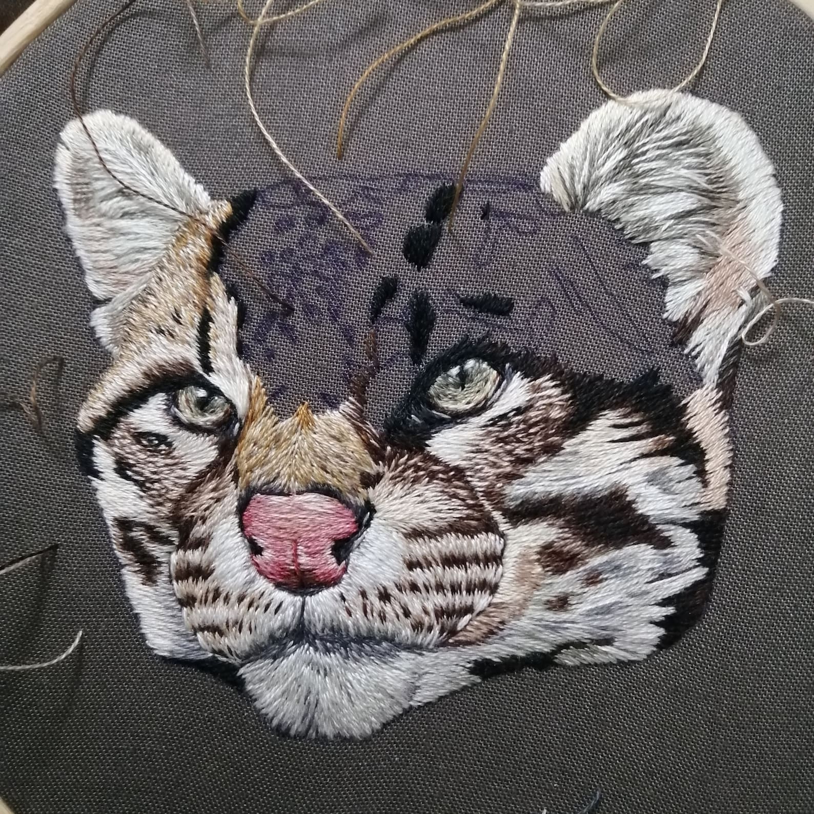 Embroidered Cat Portrait Custom Pet Portrait Cat Embroidery - Etsy