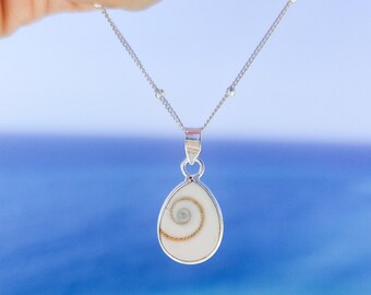 Shiva Snail Shell - Etsy