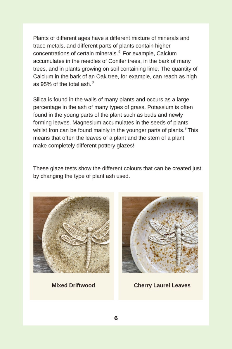 Pottery Making Guide Ebook: Pottery Glazing With Plant Ash - Etsy