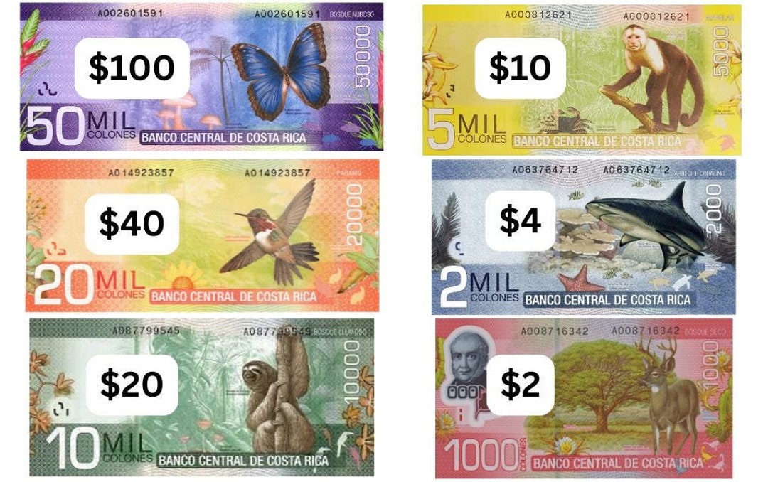 Costa Rican Colones to USD Cheat Sheet - Etsy