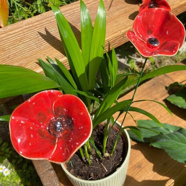Ceramic Poppy - Etsy