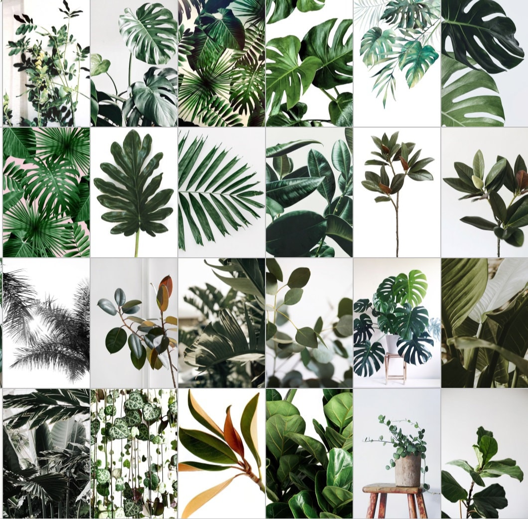 Green plant collage kit Wall collage kit Aesthetic room decor | Etsy