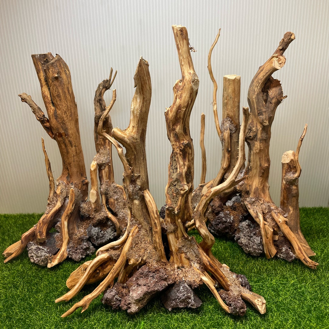 Handmade Aquarium Driftwood Tree: Natural Aquascape & Terrarium Decor ...