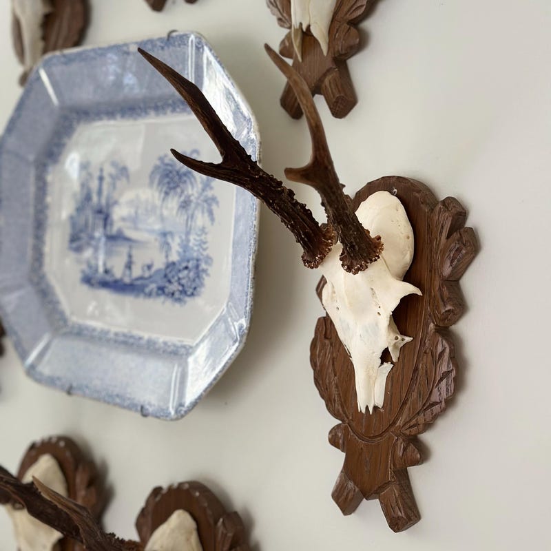 Roebuck Mount - Etsy