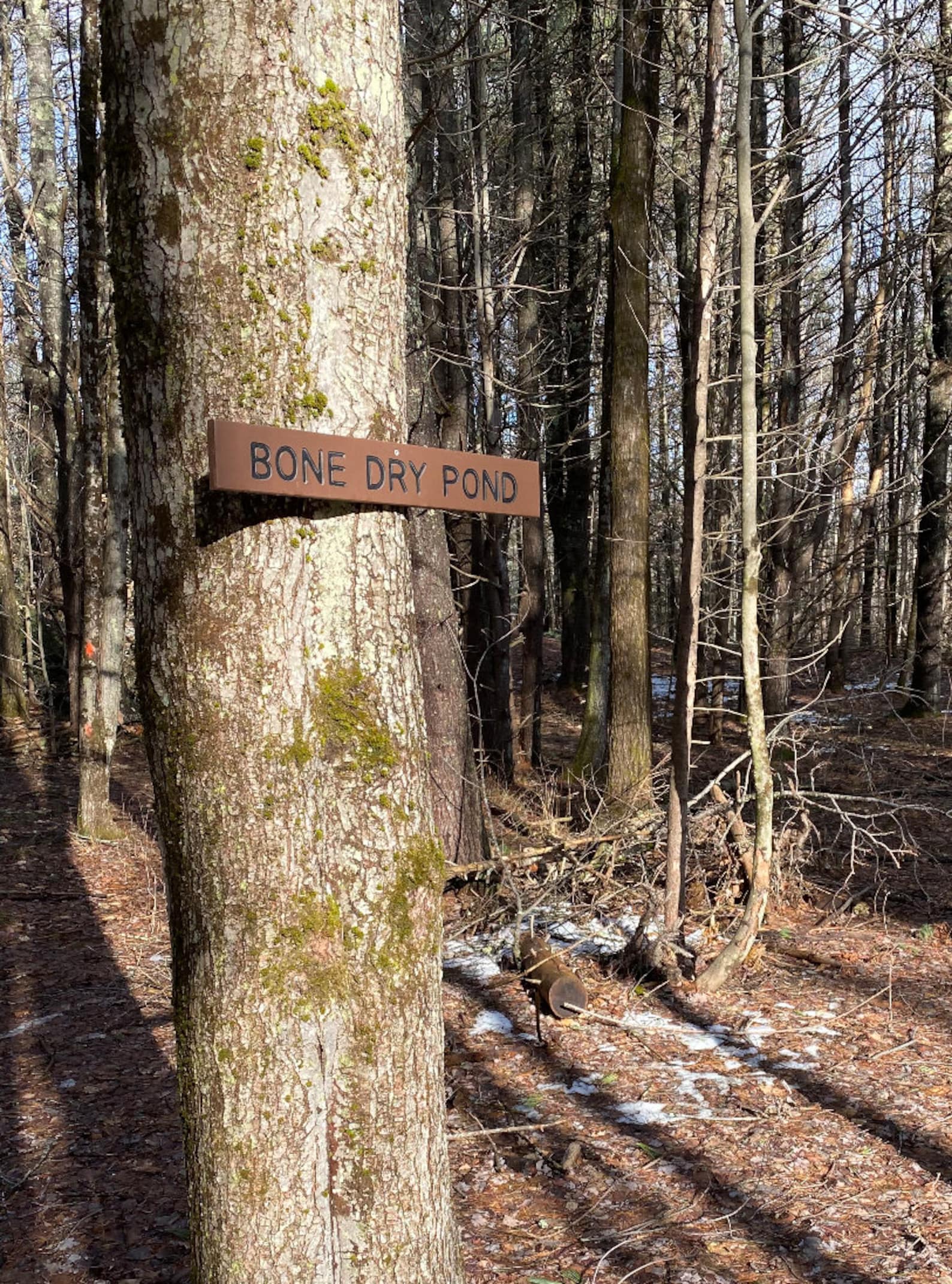 Custom Outdoor Trail Sign - Etsy