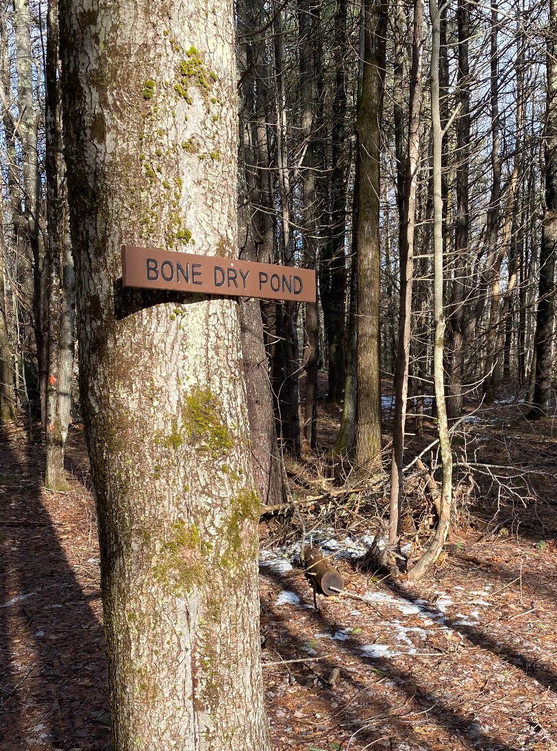 Custom Outdoor Trail Sign - Etsy