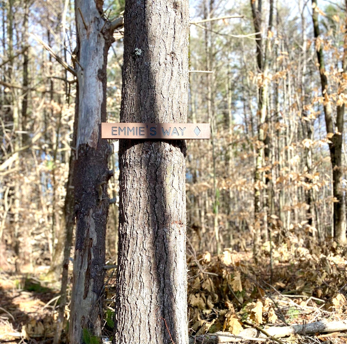 Custom Outdoor Trail Sign - Etsy