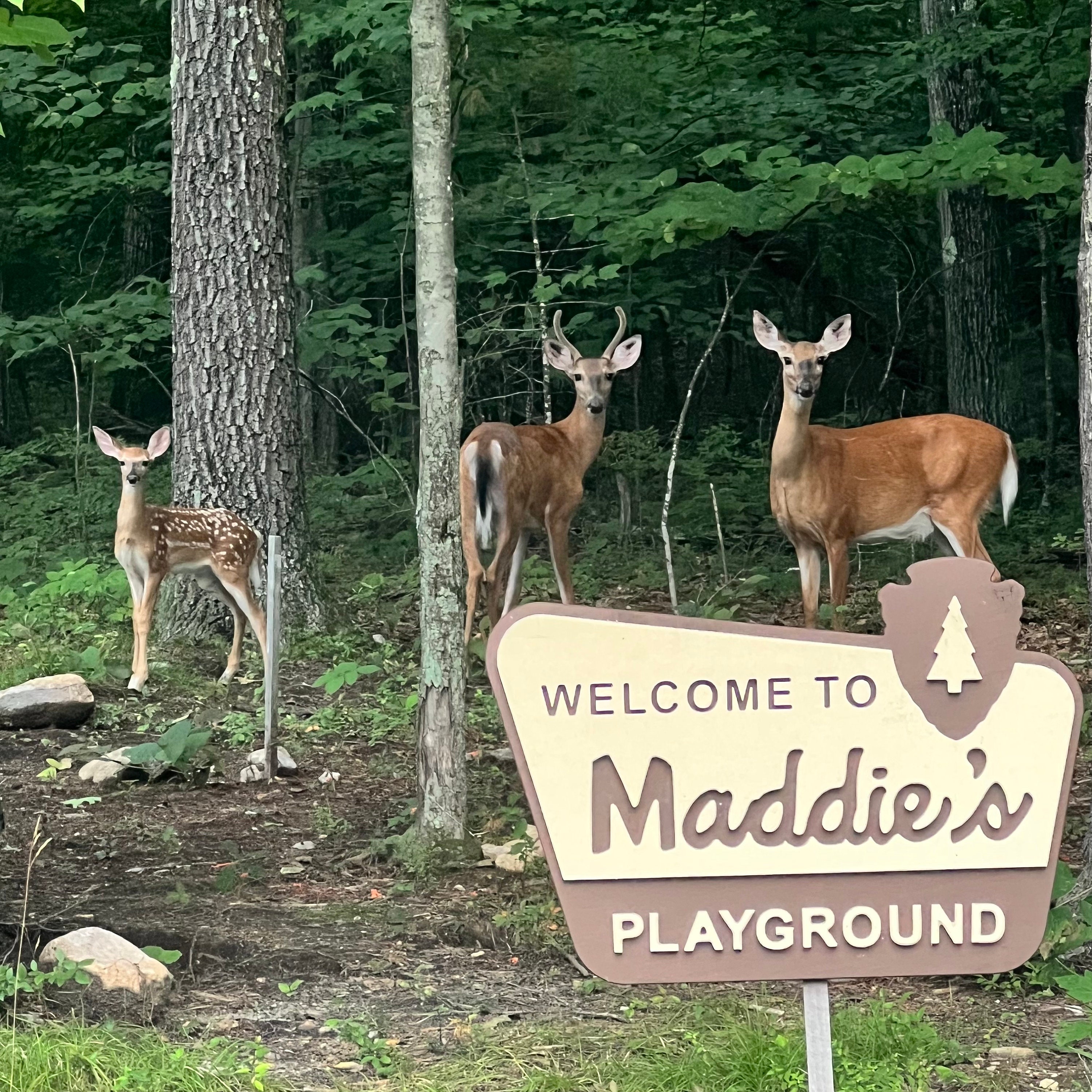 Customized National Park Playground Sign - Etsy