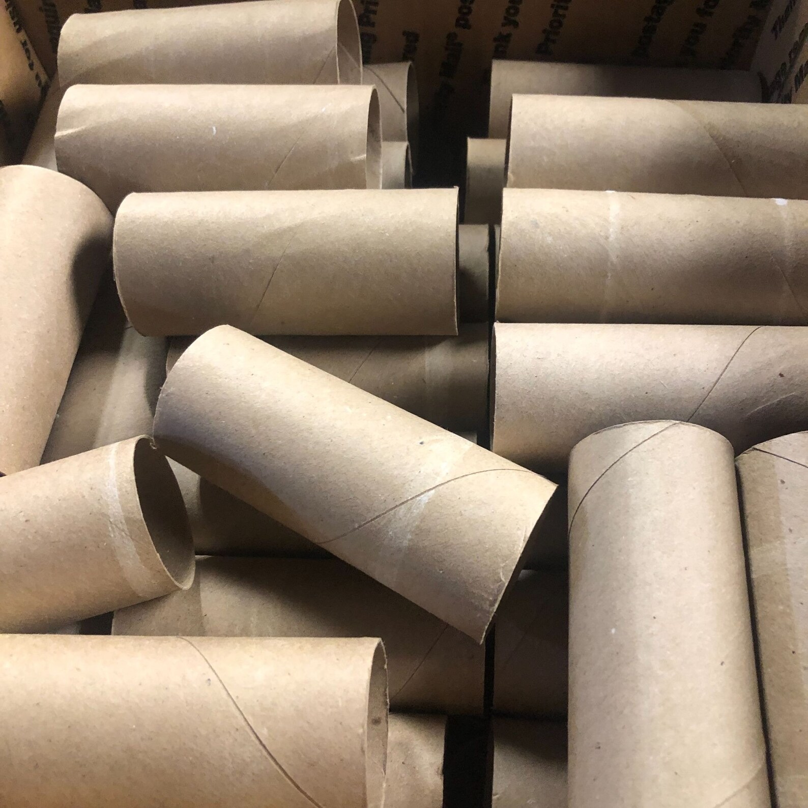70 Cardboard Tissue Tubes for Crafting Upcycling Kids Projects Seed ...