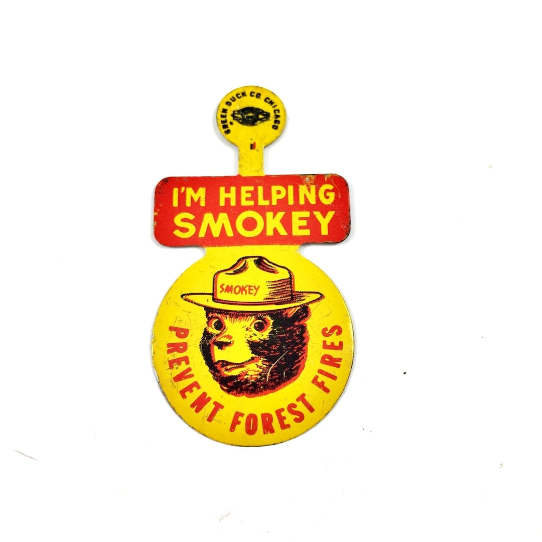 Vintage Smokey Bear Fold Over Pin Button Prevent Forest Fires Green ...