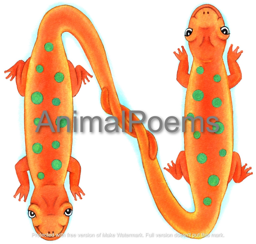 Letter N - Newt - Instant Download, Digital Download, Jpg - Etsy