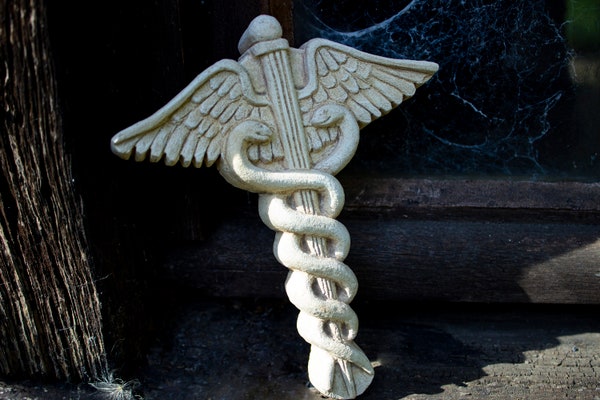 Occult Anatomy 2020 Large Occult Poster 24x36 Occult - Etsy Canada