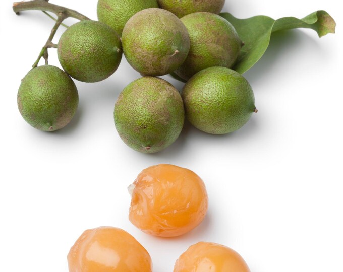 Spanish Lime, Quenepa (melicoccus Bijugatus) - Etsy
