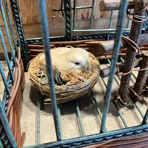 Metal Bird Cage With 3 Faux Birds , Decorative Bird Cage, Kitchen Decor ...