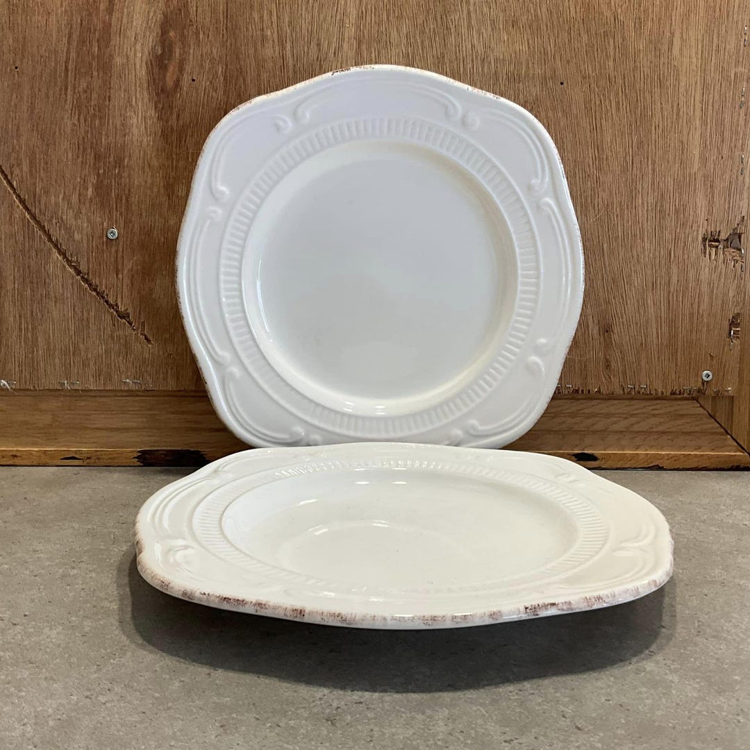 2 Dinner Plates Grand Buffet by Sabatier 4530 China, Dishwasher Safe ...