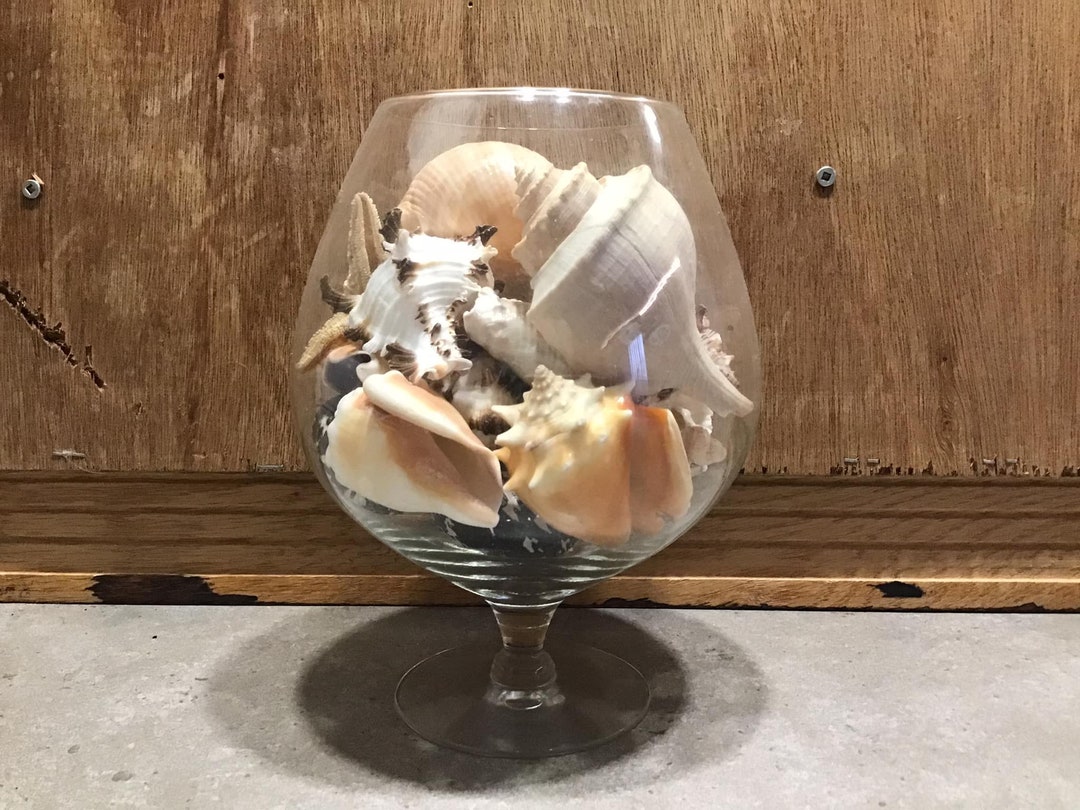 Clear Glass Vase With Mix Shells, Home Decor - Etsy