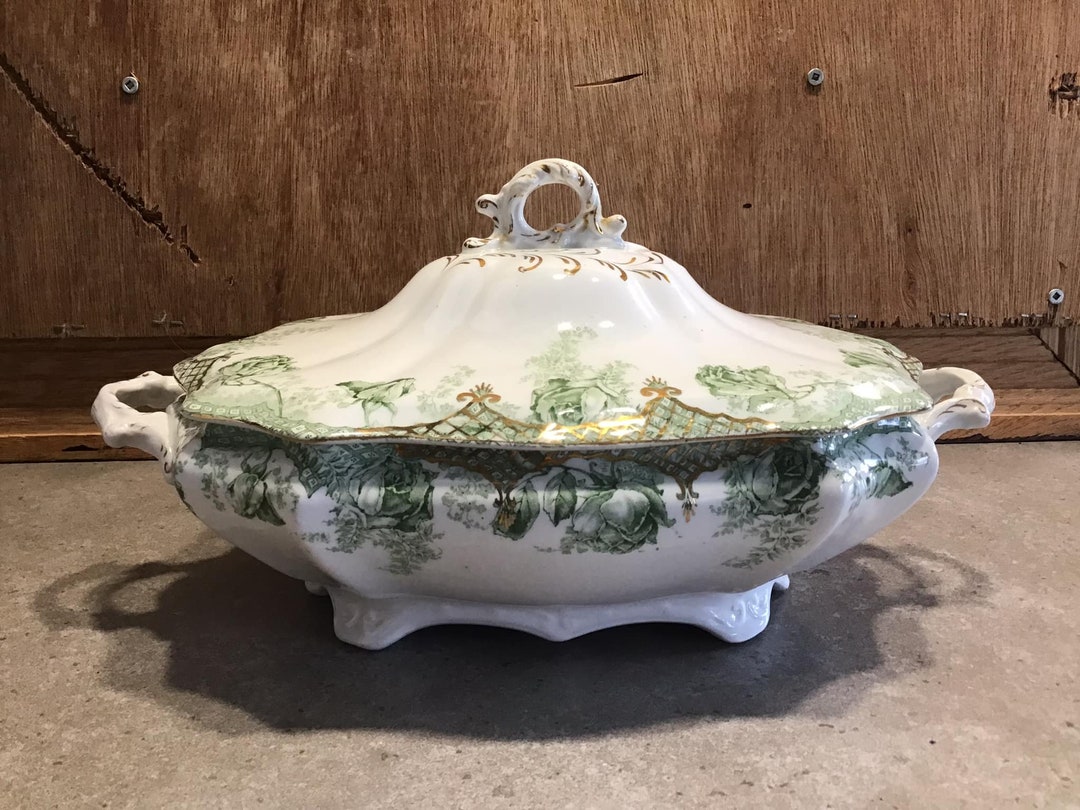 Waterloo Potteries Rose Royal Premium Semi-porcelain T & R Boote ...