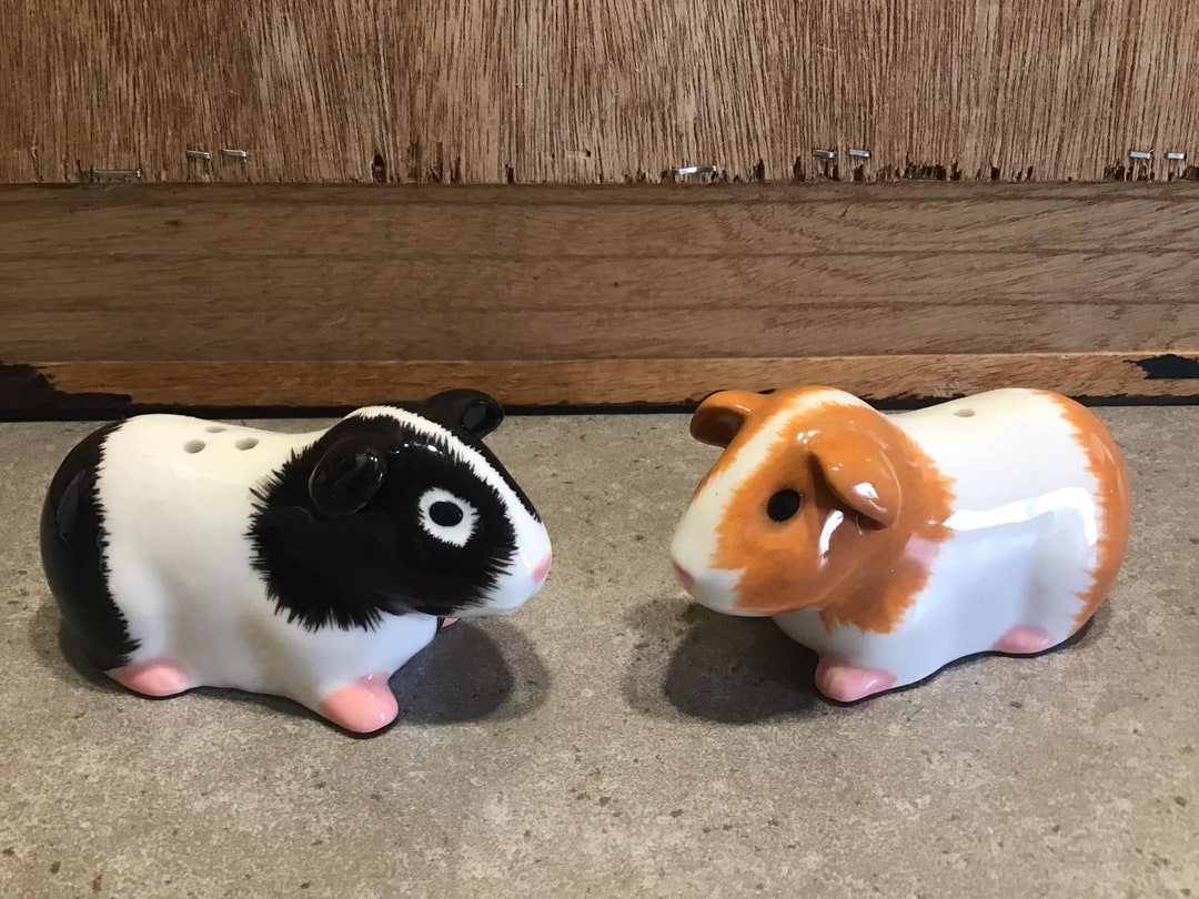Guinea Pig Salt + Pepper Shaker Set, Two Coloured Highly Detailed ...