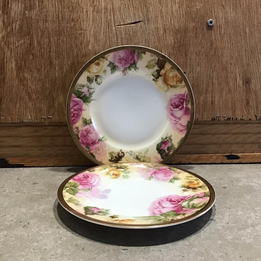 2 Silesia Hand Painted Pink and Yellow Roses Plates Made in Germany ...