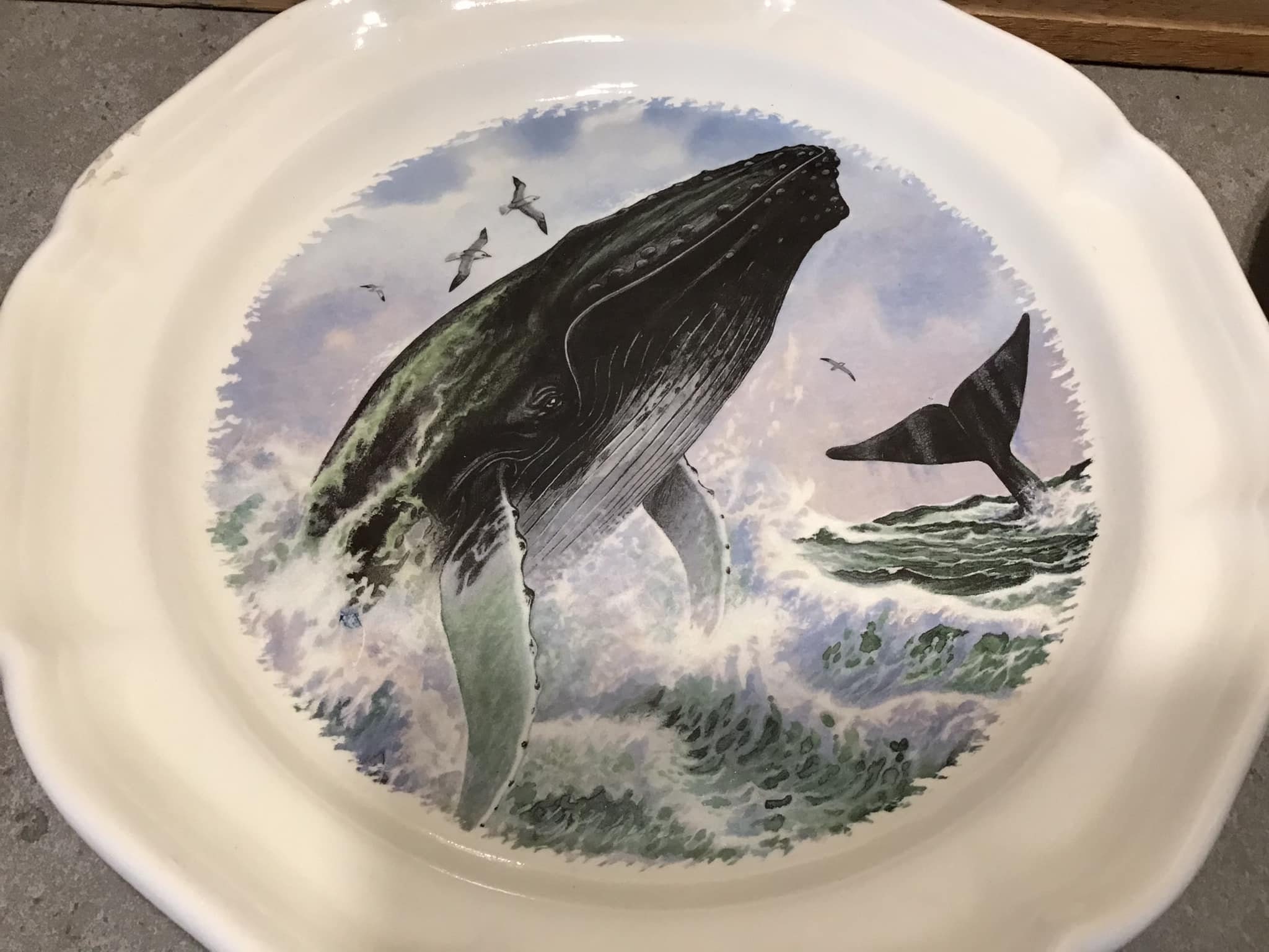 2 Vintage Humpback Whale Plates Megaptera Novaeangliae - Etsy