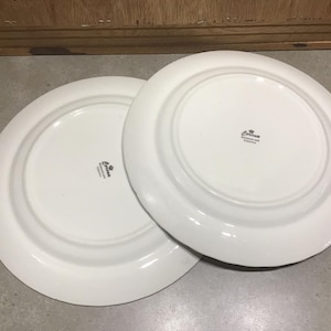2 Corona Colombia Dinner Plates Microwave Safe Very Well Made and Eye ...