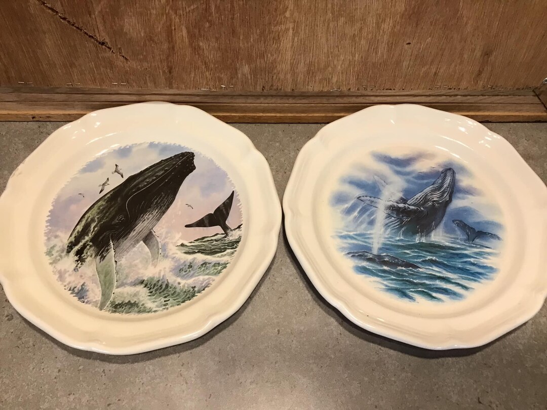2 Vintage Humpback Whale Plates, Megaptera Novaeangliae Collector ...